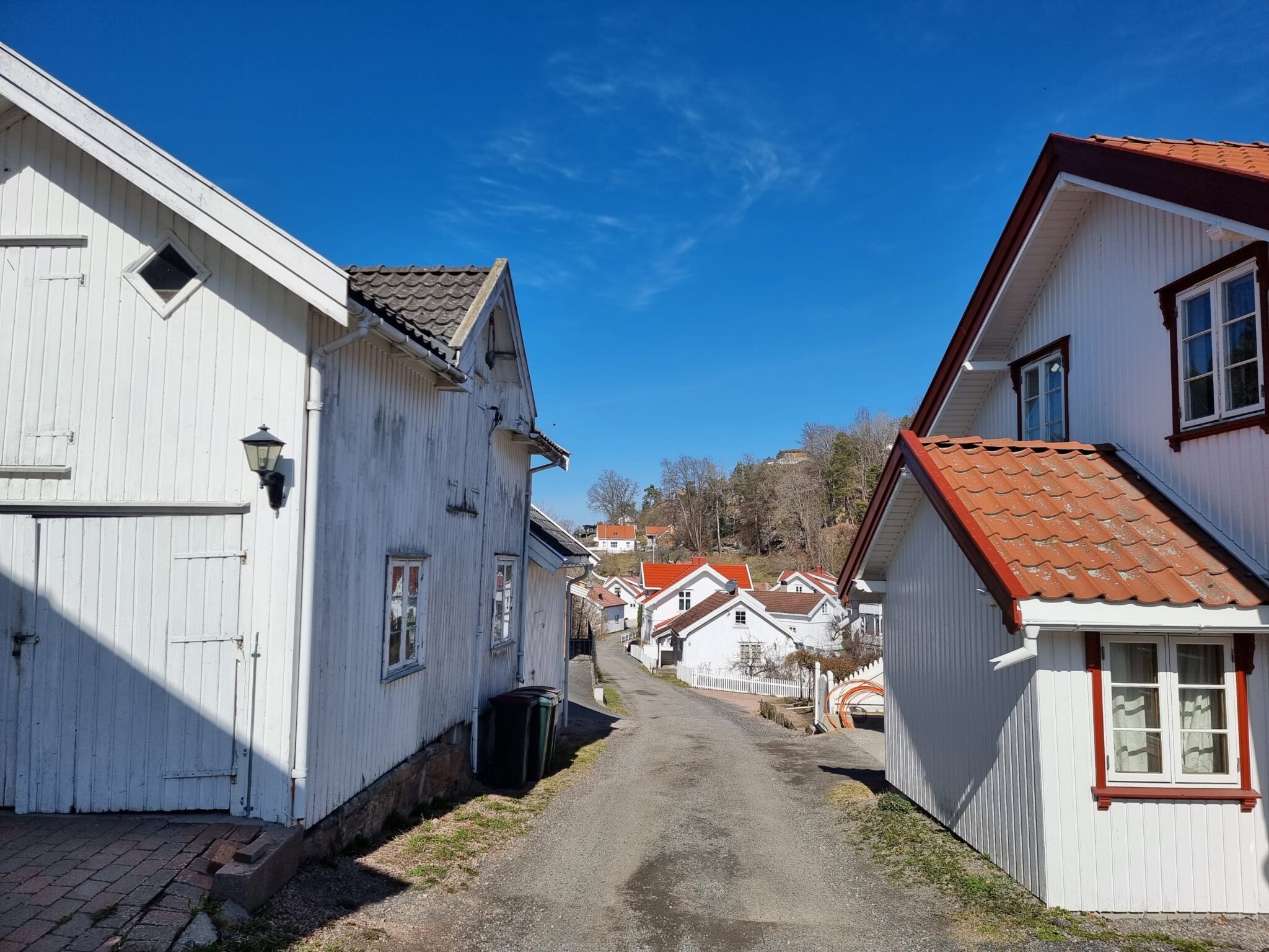 Holmsbu – Holmsbumalerne, et badehotell og et sommerparadis – Med ...